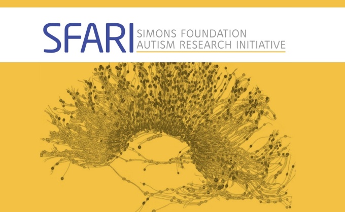 SFARI supports Soo-Kyung Lee's research on FOXG1 Syndrome - Department ...
