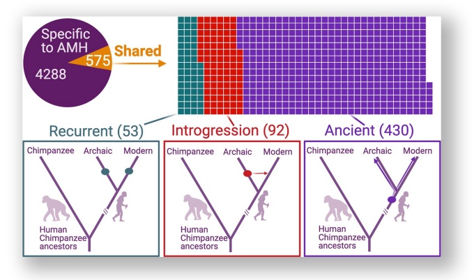 eLife publishes research paper by Alber Aqil and Omer Gokcumen ...