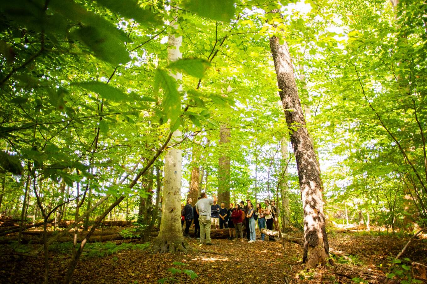 PhD in EEB - Ecology Track - Department of Environment and ...