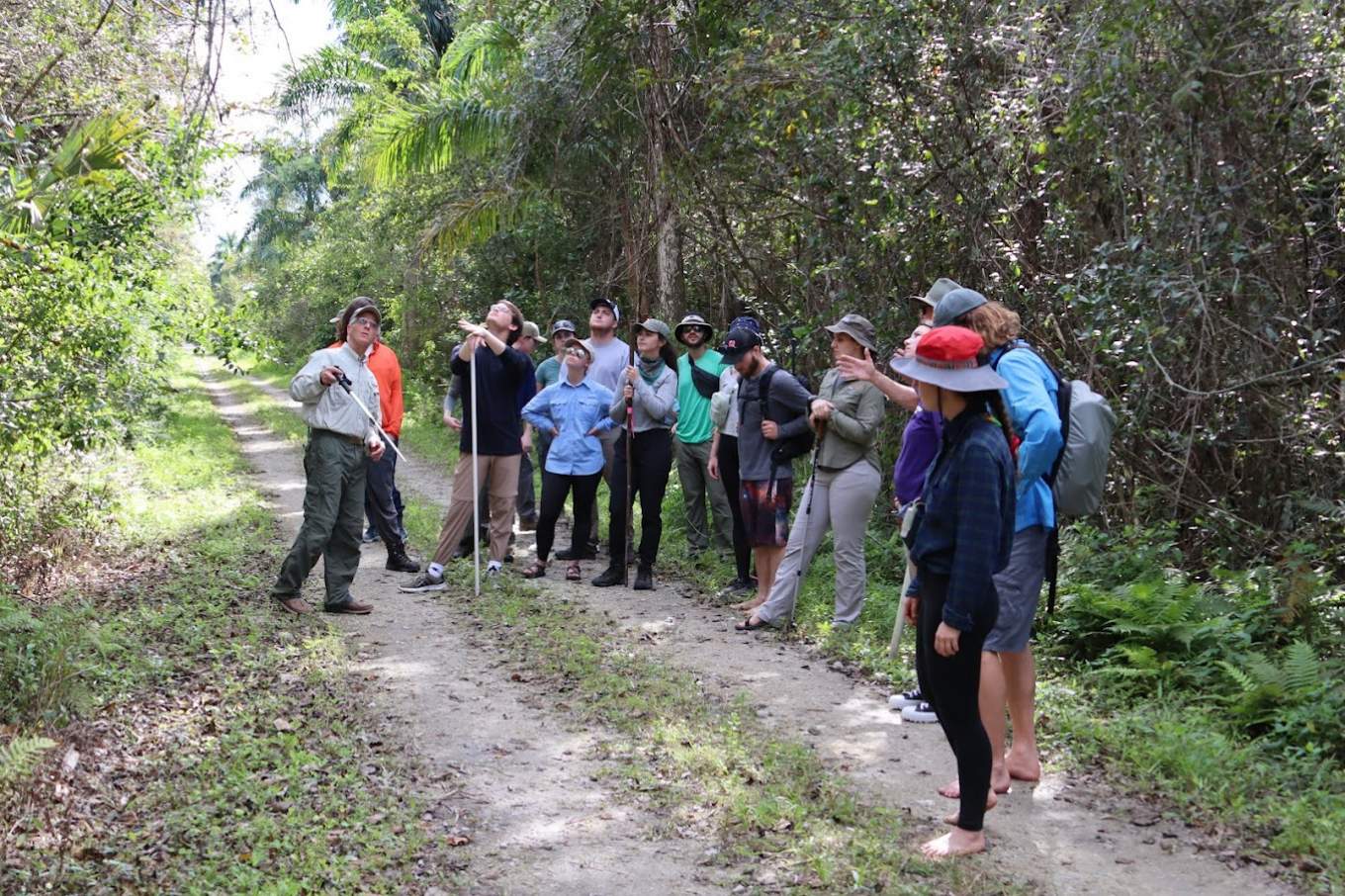 Minor in Environmental Studies - Department of Environment and ...