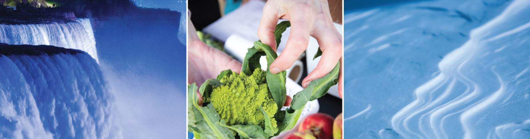 Interdisciplinary Research Experience for Undergraduates in Atmospheric ...