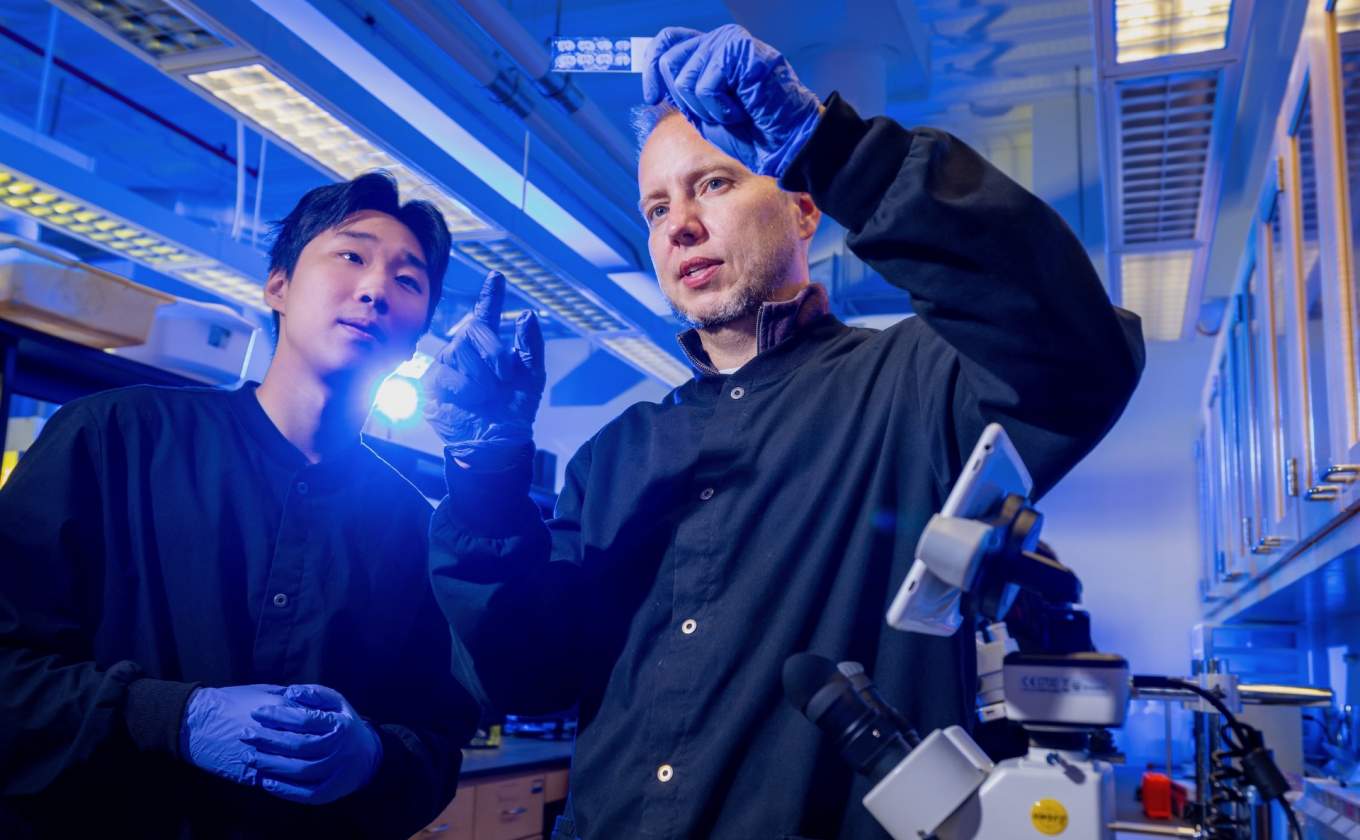 Research Overview - Department of Psychology - University at Buffalo