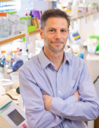 Faculty Experts - College of Arts and Sciences - University at Buffalo