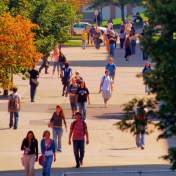 Awards, Scholarships, Financial Aid - Social Sciences Interdisciplinary ...