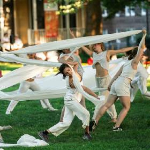 Festival with UB ties moves to Governor’s Island - College of Arts and ...